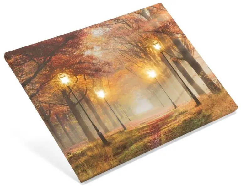 Nástěnná malba lesní cesta, 4 LED, 30 x 40 cm