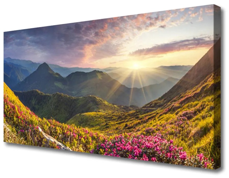 Obraz na plátně Hora Louka Slunce Krajina 100x50 cm