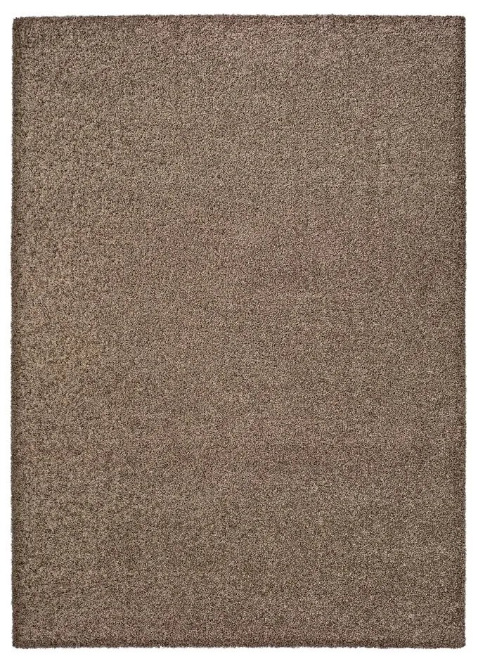 Tmavě hnědý koberec Universal Princess, 290 x 200 cm