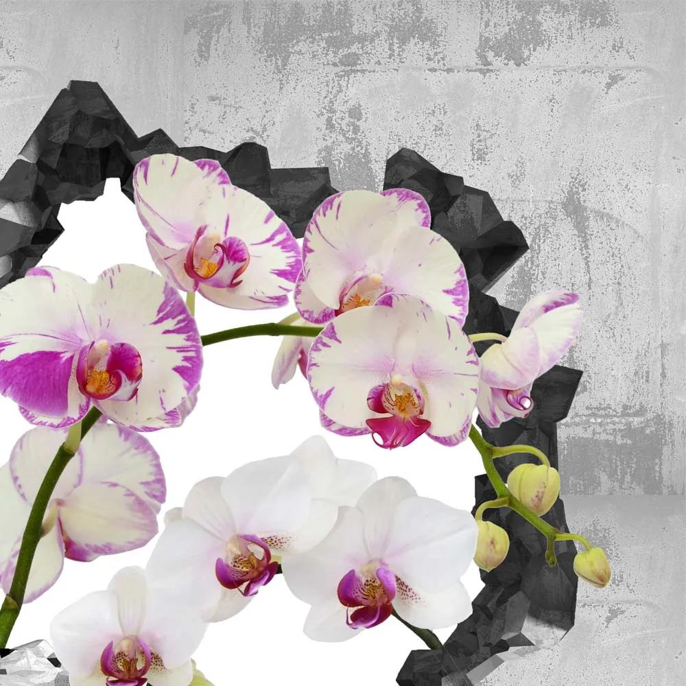 Malvis ® Obraz orchidej ve zdi II Velikost: 90x60 cm