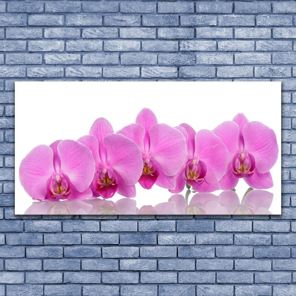 Plexisklo-obraz Růžová Orchidej Květiny 120x60 cm