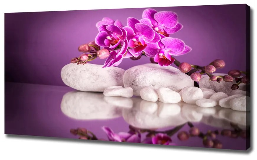 Wallmuralia Foto obraz canvas Růžová orchidej 120x60 cm