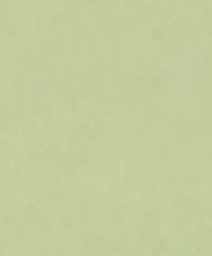 Zelená tapeta na zeď Paraiso 330052 | Lepidlo zdarma