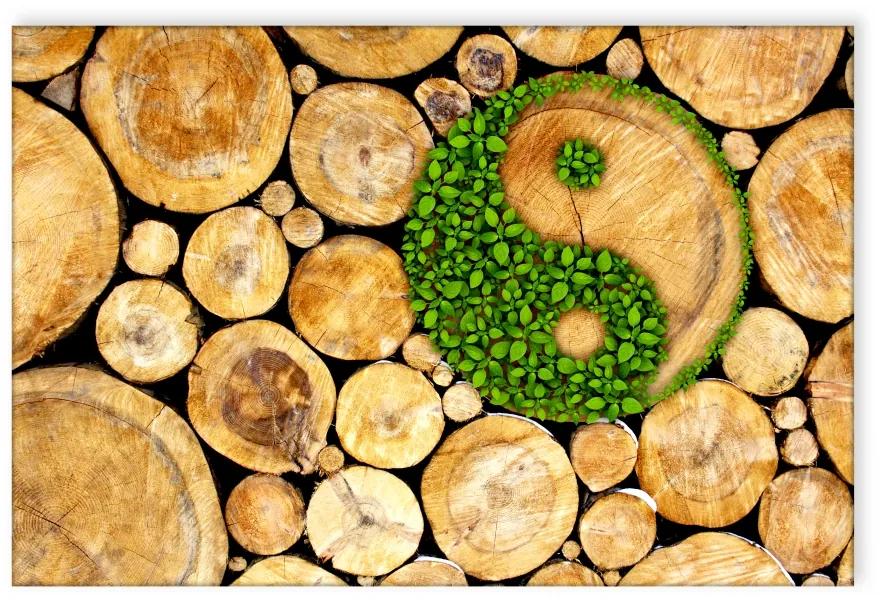 Malvis ® Obraz zelená rovnováha Velikost: čtverec - 80x80 cm