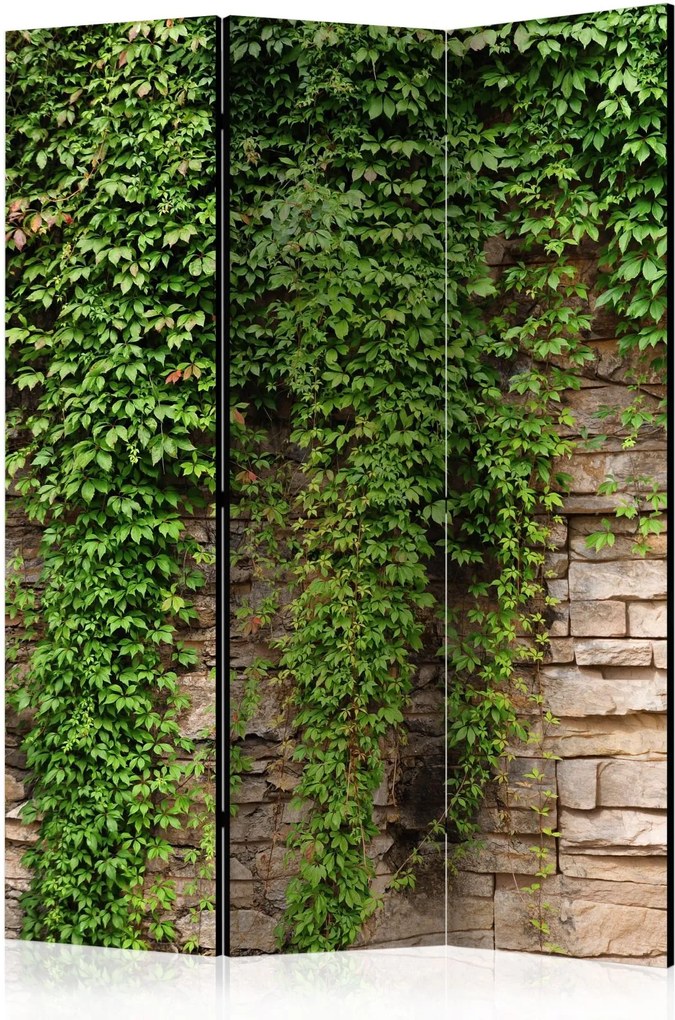 Paraván - Ivy wall [Room Dividers] 135x172