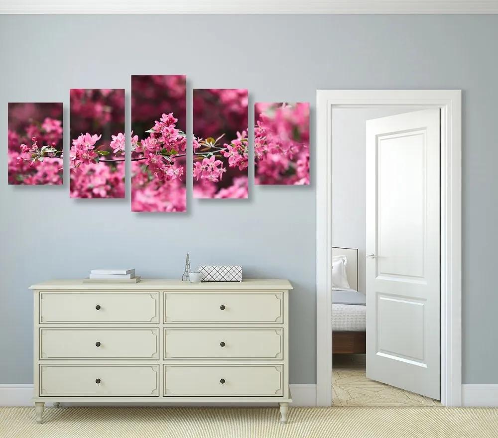 5-dílný obraz detailní květiny třešně - 200x100 cm