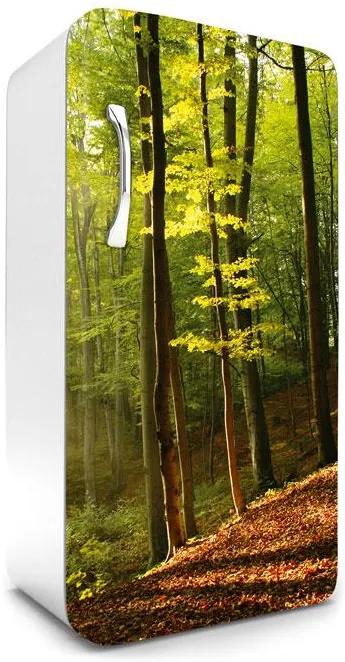 Samolepící fototapeta na lednici - Podzimní les, 65x120cm, 028