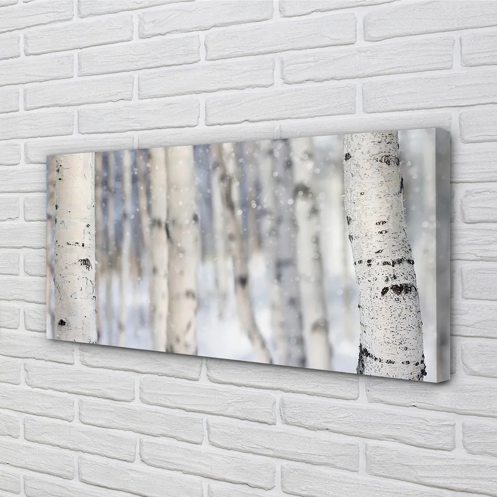 Obrazy na plátně Stromy v zimě sníh 120x60 cm