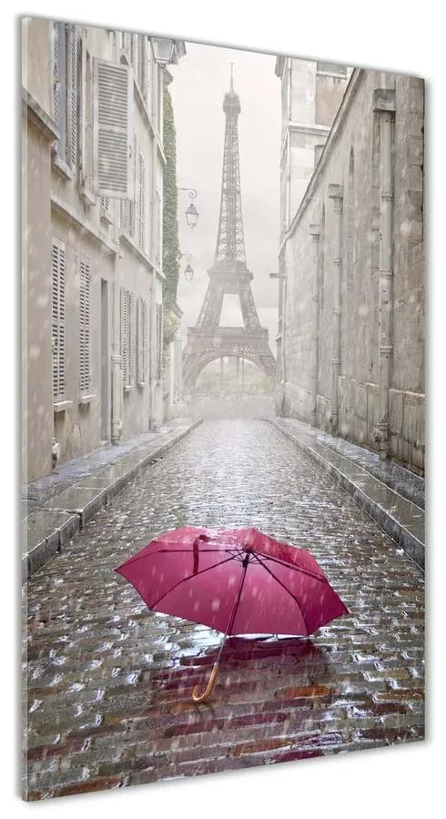 Wallmuralia Foto obraz akrylový Deštník Francie 60x120 cm
