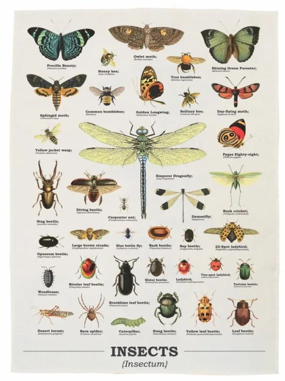 Utěrka z bavlny Gift Republic Insects, 50 x 70 cm