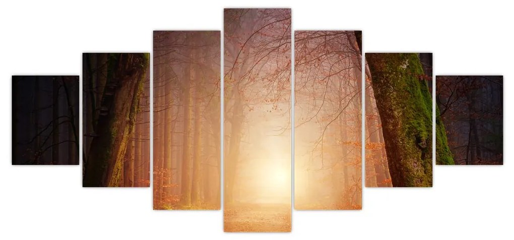 Obraz podzimního lesa v mlze (210x100 cm)