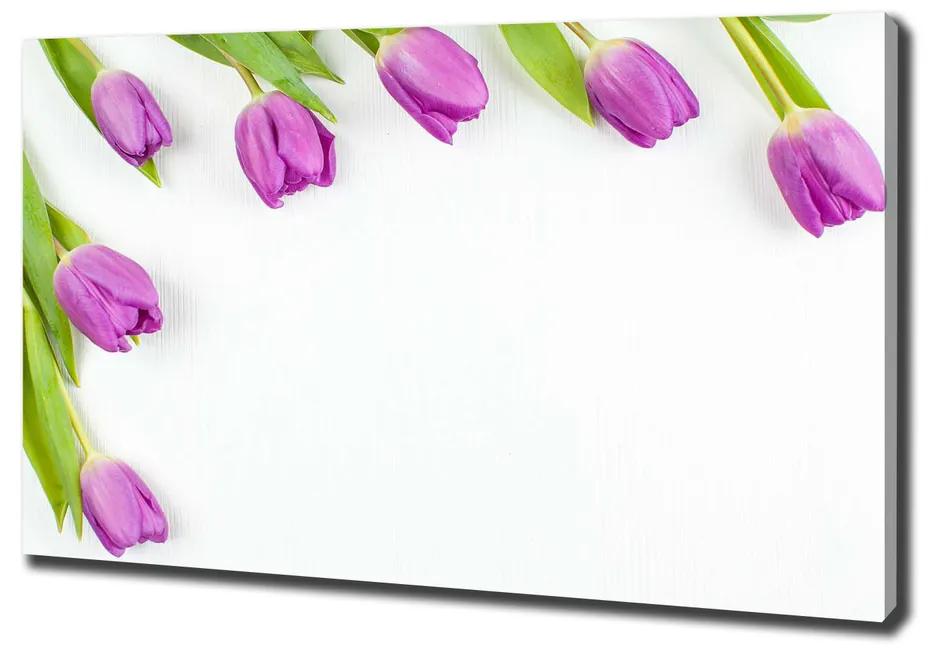 Wallmuralia Moderní fotoobraz canvas na rámu Fialové tulipány 100x70 cm