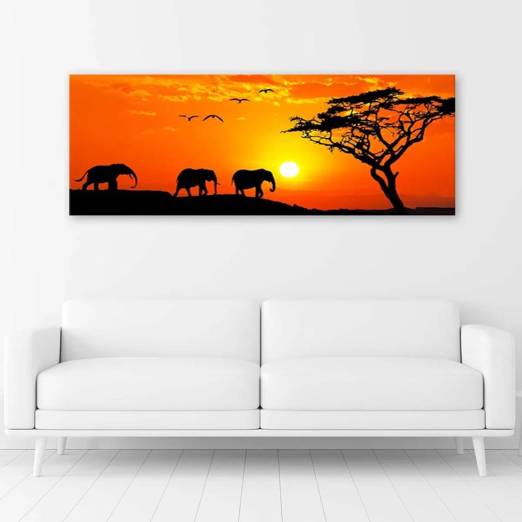 Obraz na plátně Afrika Západ slunce Sloni - 120x40 cm