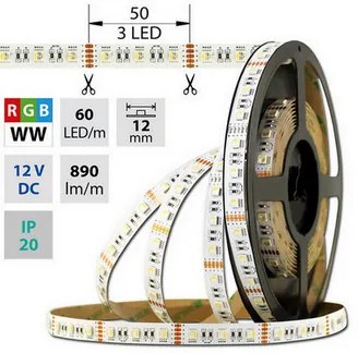 LED pásek McLED 12V RGBW WW teplá bílá 12mm IP20 19,2W/m ML-123.635.60.0 (5m)