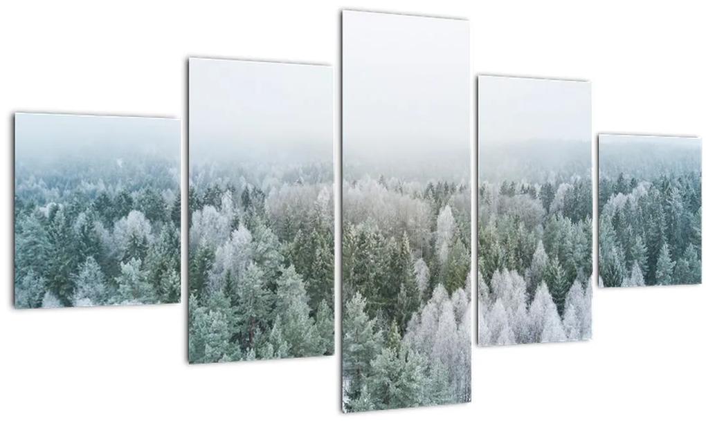 Obraz - Zasněžené vrcholky lesů (125x70 cm)