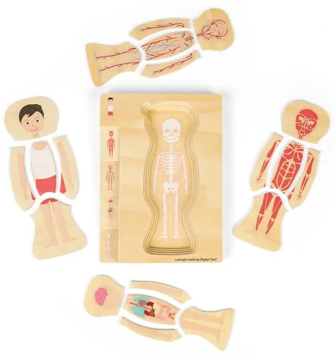 Bigjigs Toys Dřevěné puzzle Anatomie chlapec
