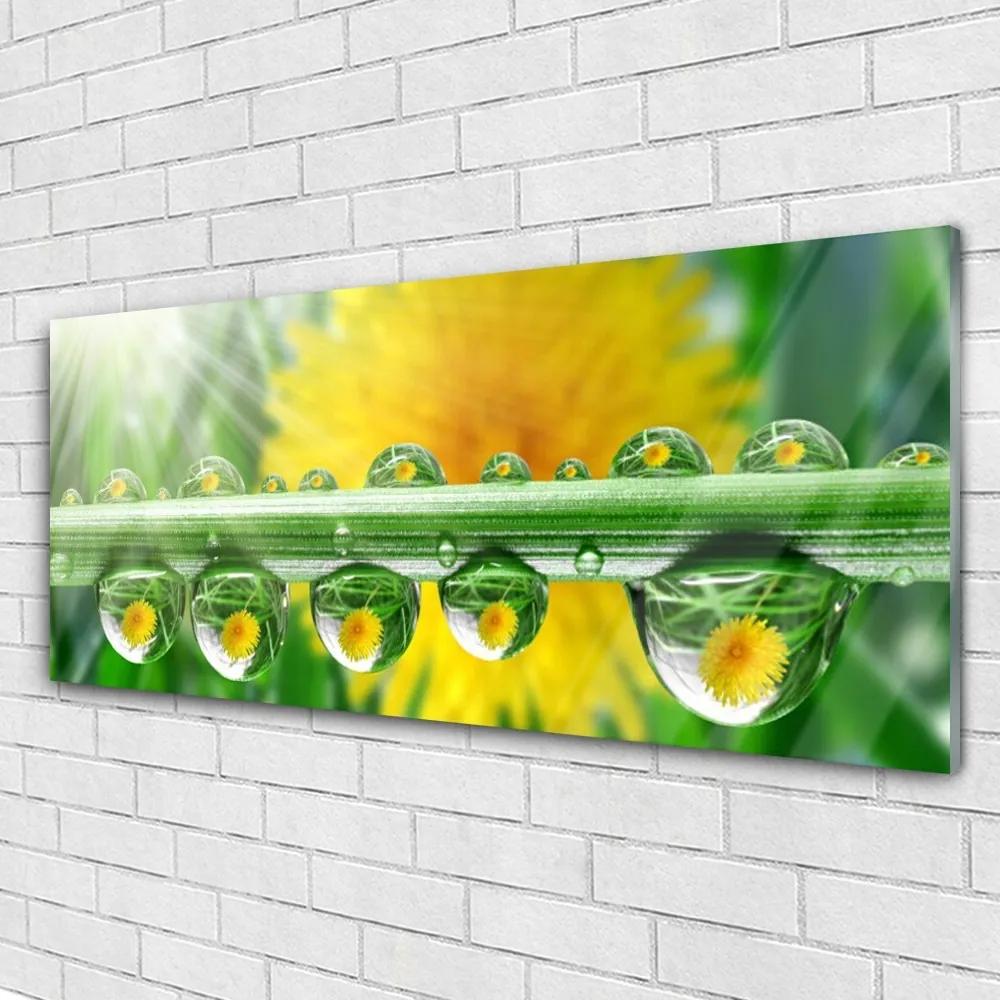 akrylový obraz Stonek Kapky Rosa Rostlina 125x50 cm
