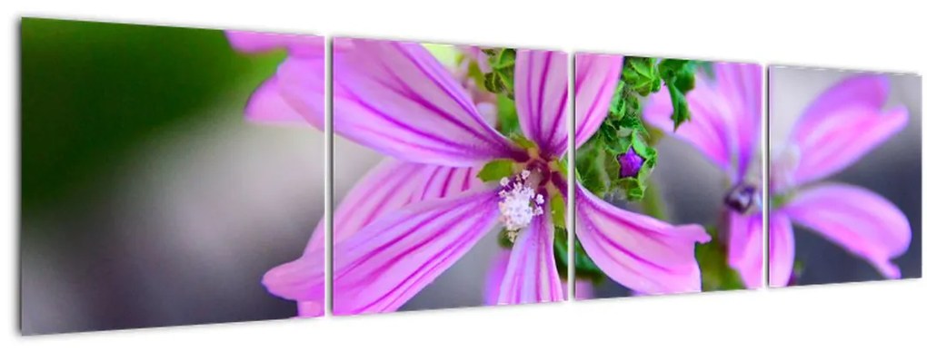 Detailní obraz květiny (160x40 cm), 40 dalších rozměrů