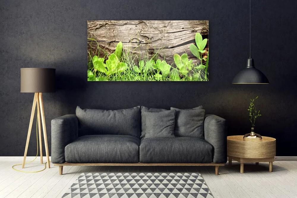 Plexisklo-obraz Tráva Listy Květiny 120x60 cm