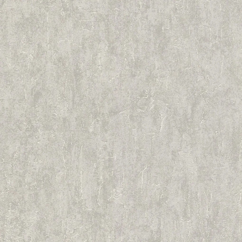 Vliesová tapeta strukturální beton, stěrka světle šedá 458022 / Vliesové tapety na zeď Andy Wand (0,53 x 10,05 m) Rasch