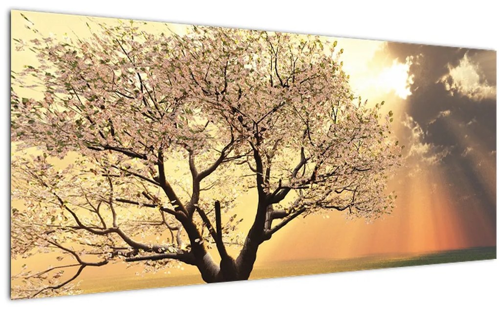 Obraz stromu na louce (100x40 cm), 40 dalších rozměrů