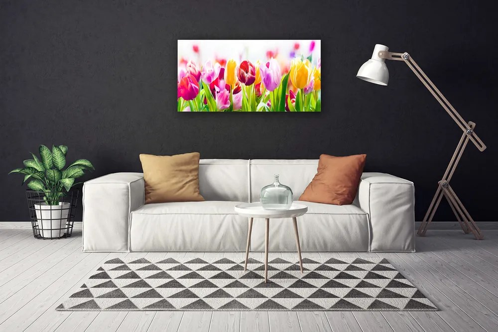 Obraz na plátně Tulipány Květiny 120x60 cm