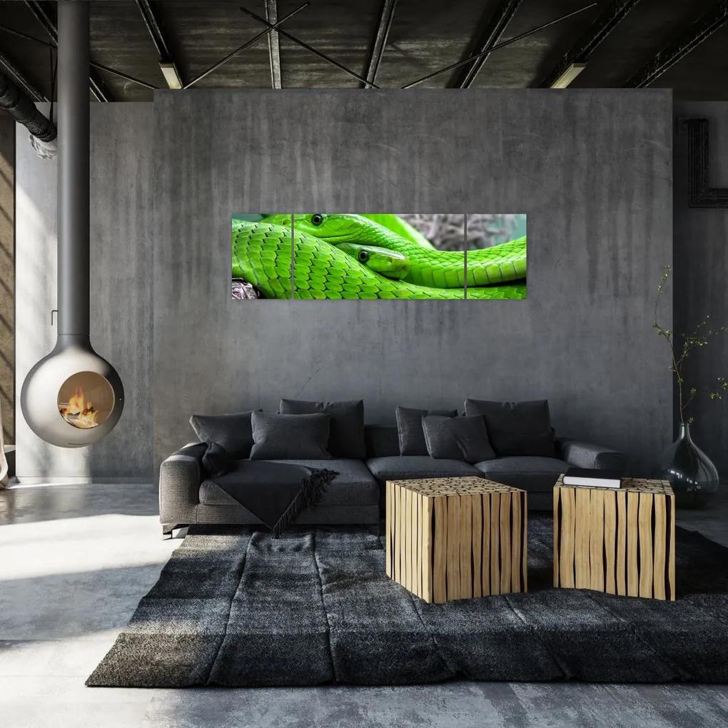 Obraz zelených hadů (170x50 cm)