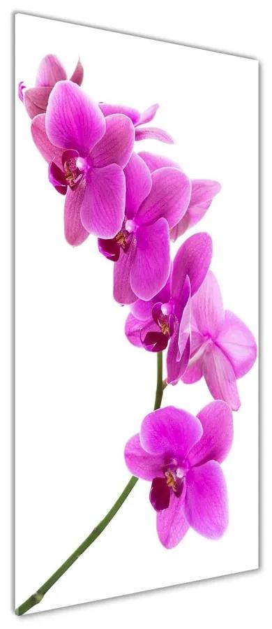 Wallmuralia Fotoobraz na skle Růžová orchidej 50x125 cm