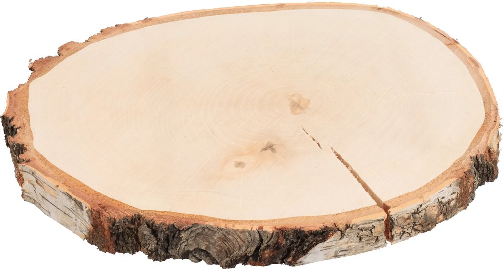 ČistéDřevo Dřevěná podložka z kmene břízy 33-38 cm