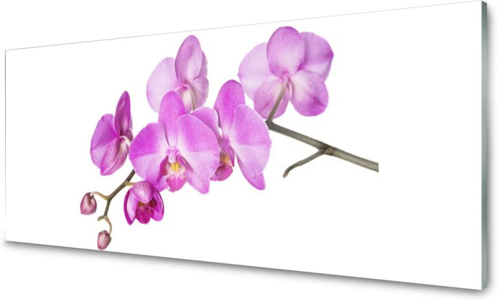 Skleněné obklady do kuchyně Vstavač Orchidej Květiny