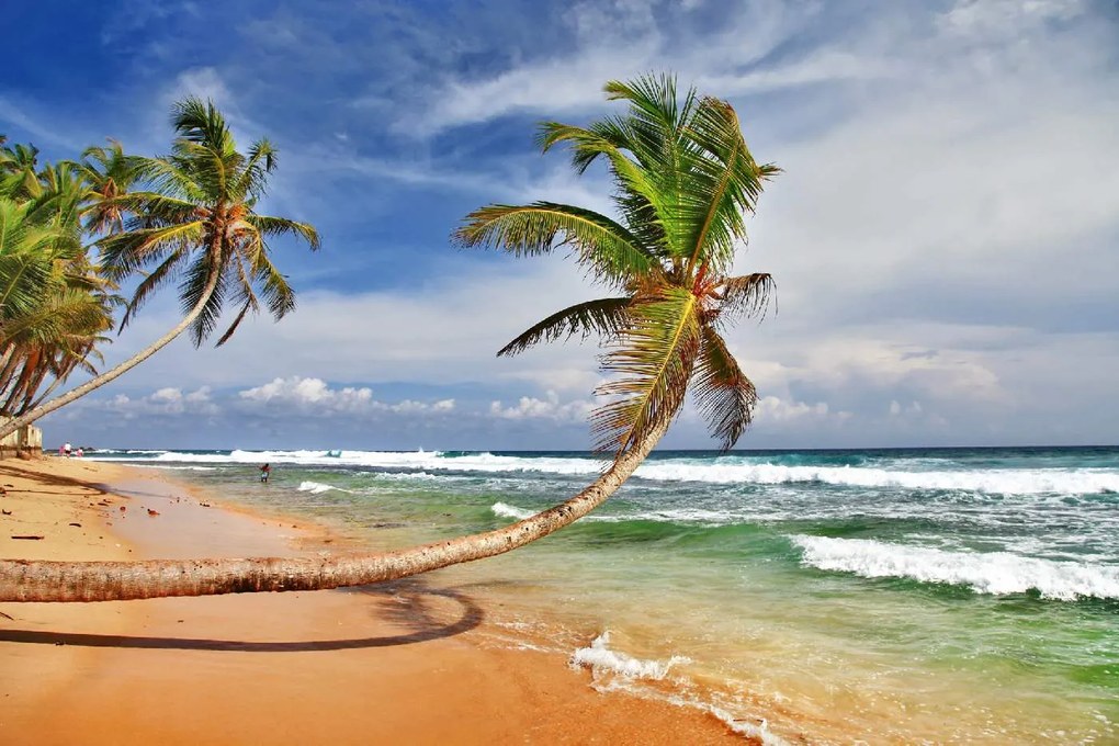 DIMEX | Vliesová fototapeta Krásná rozlehlá pláž MS-5-3228 | 375 x 250 cm | zelená, bílá, žlutá