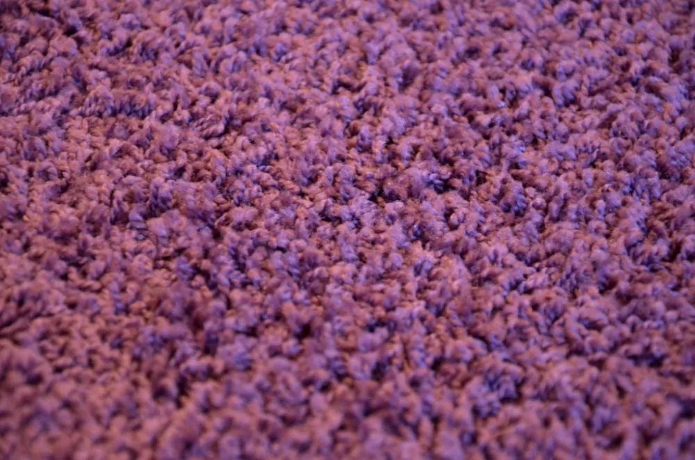 Vopi | Kusový koberec Color shaggy fialový - 200 x 300 cm