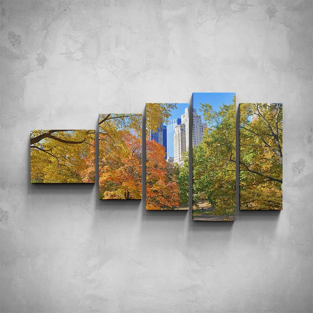 5-dílný obraz - Podzim v New Yorku - PopyDesign