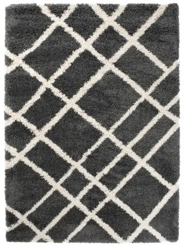 Exkluzivní kusový koberec SHAGGY SKANDY-H HM0110 - 160x220 cm