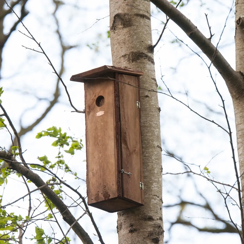 Budka pro datle Smart, 53,5x18x22 cm, dřevo, hnědá