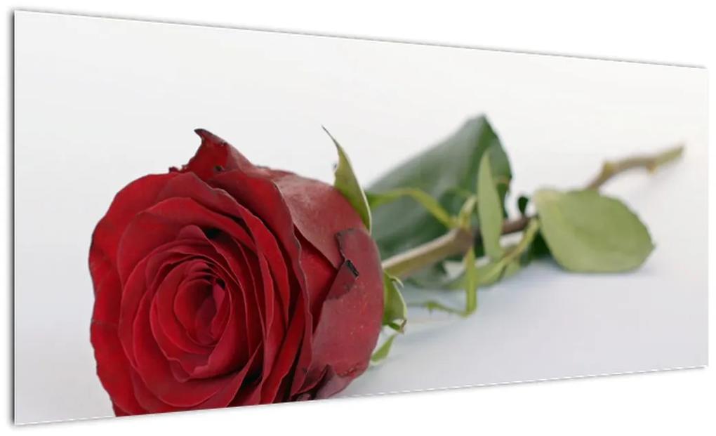 Obraz rudé růže (100x40cm)