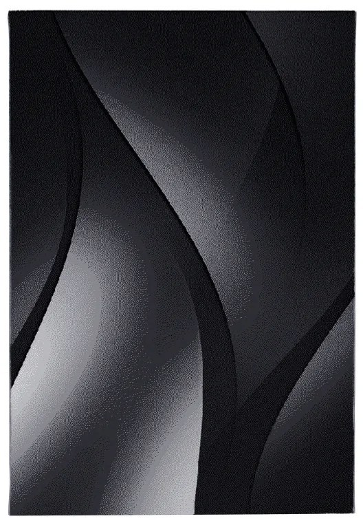 Ayyildiz, Kusový koberec Plus 8010 black, 160x230, černá, chodba / předsíň