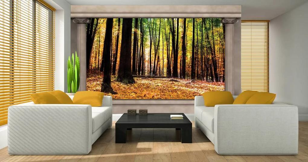 Fototapeta - Podzimní les (152,5x104 cm)