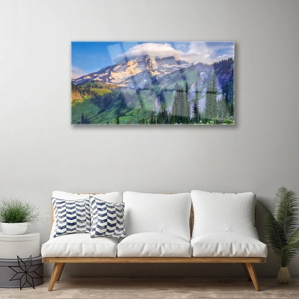 Obraz na skle Hora Les Krajina 100x50 cm