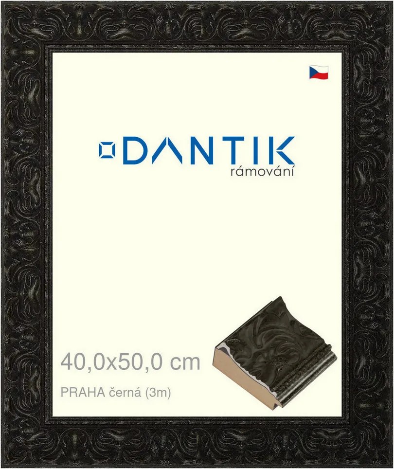 DANTIK rámeček 40x50 | PRAHA černá (Plexi Čiré)