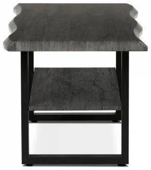 Konferenční stolek 120x60 dekor šedý dub police kovové nohy černý lak CT-F4212 GREY
