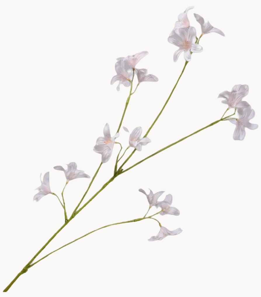 Větvička Hyacinth
