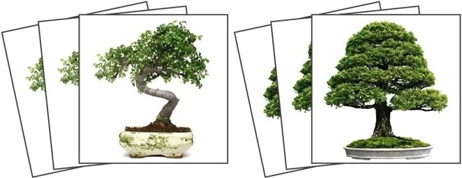 Samolepicí dekorace na kachličky zelená bonsaj TI-013 / Bonsai nálepky na kachličky (15 x 15 cm) Dimex