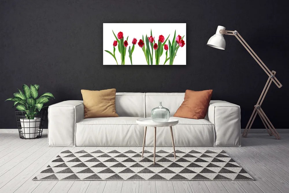 Obraz na plátně Tulipány Květiny Rostlina 100x50 cm