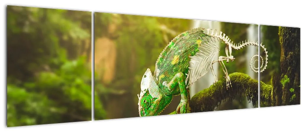 Obraz chameleona (170x50 cm)