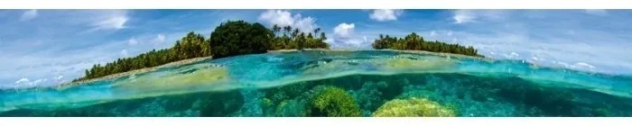 DIMEX | Fototapeta do kuchyně Korálový útes KI-350-013 | 350 x 60 cm | zelená, modrá