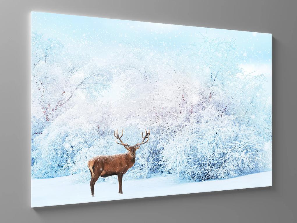 Liox Obraz Jelen v zimní krajině Rozměr: 150 x 100 cm