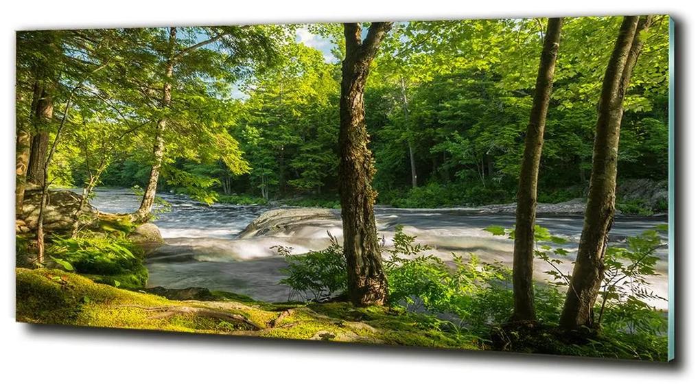 Foto obraz skleněný horizontální Řeka v lese