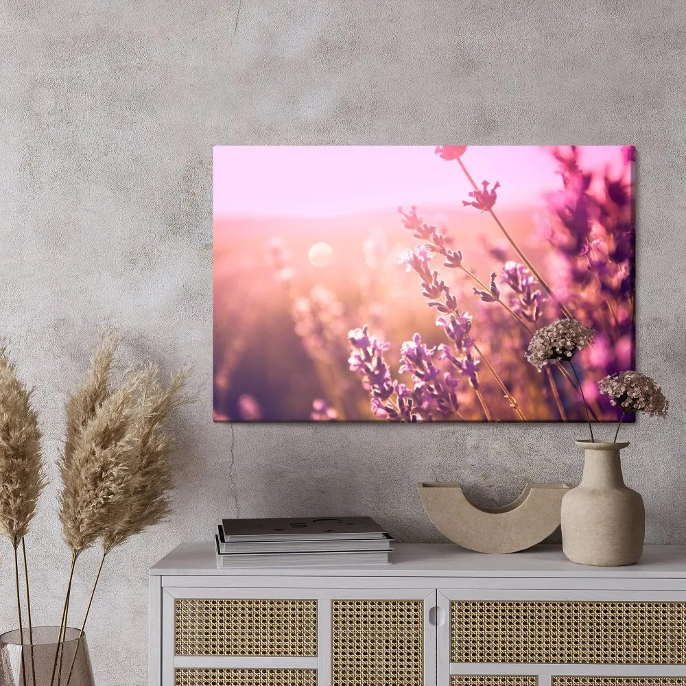 Obraz Květy Levandule Na Slunci 3D Nedostatek Nedostatek Přírodní plátno 40x30