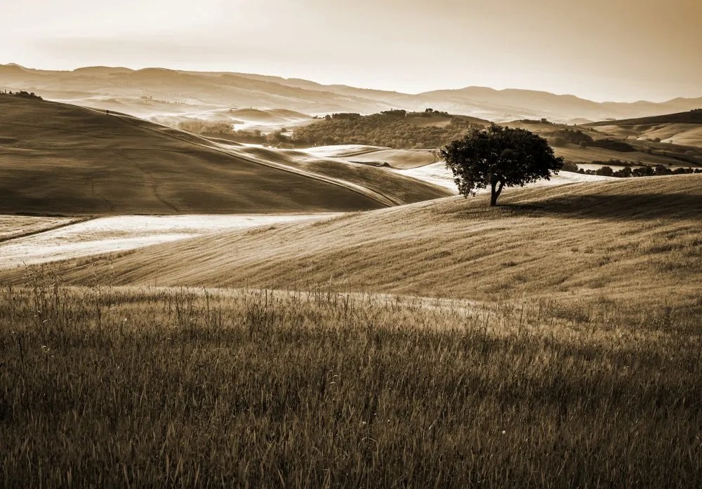 Fototapeta Rolling Hills V Sepia Samolepící tapety 152.5x104